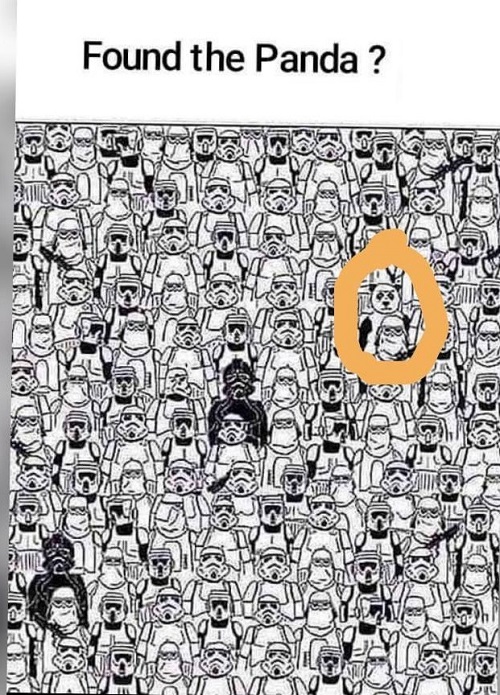 Find the panda answer Find the hidden panda answer| Riddles with answer